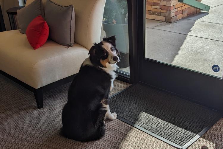 Parker CO State Farm Insurance Agent Jennifer Tinsley