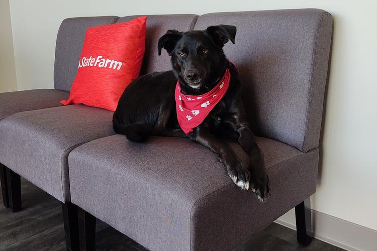 KY Auto & Home Insurance Agent Derek Carlton - State Farm®