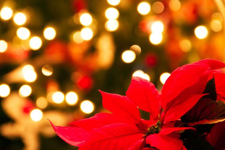 Home, Auto Insurance & More in MD | Kelli Dyer – State Farm®