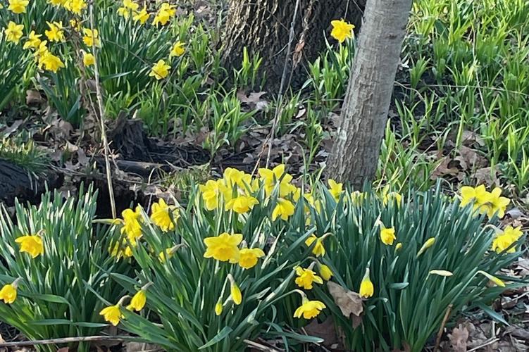 WI & IL Auto & Home Insurance Patrick Marsden - State Farm®