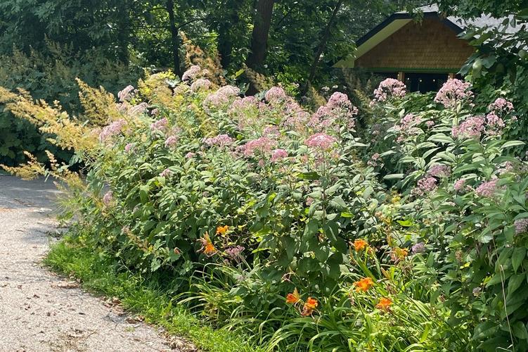 WI & IL Auto & Home Insurance Patrick Marsden - State Farm®