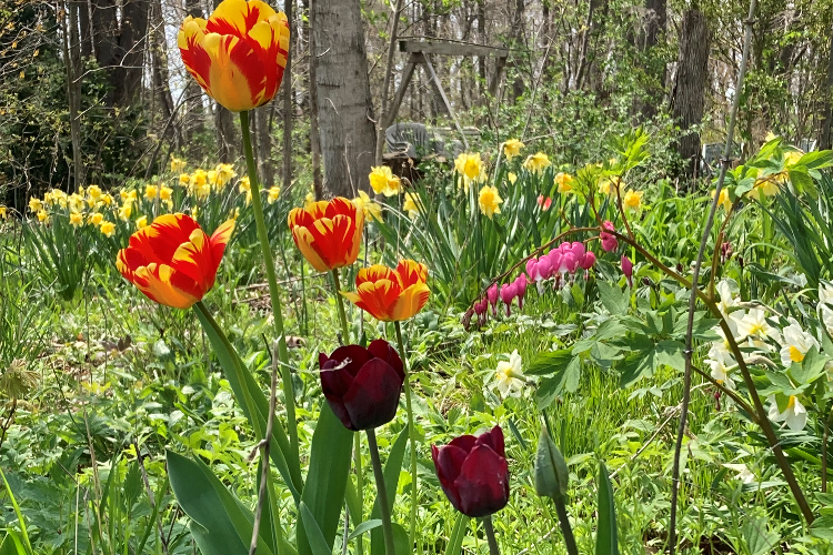 WI & IL Auto & Home Insurance Patrick Marsden - State Farm®