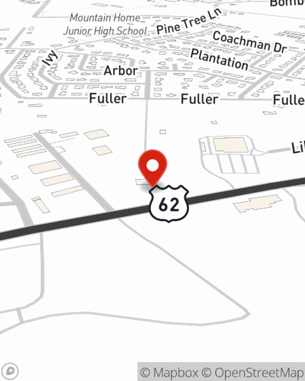 AR & MO Mountain Home/Flippin State Farm Agent Ashley Havens