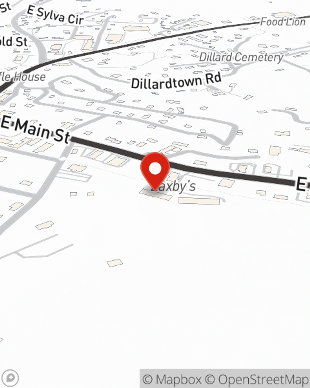 Sylva NC State Farm Insurance Agent Patricia Bryson-Wink