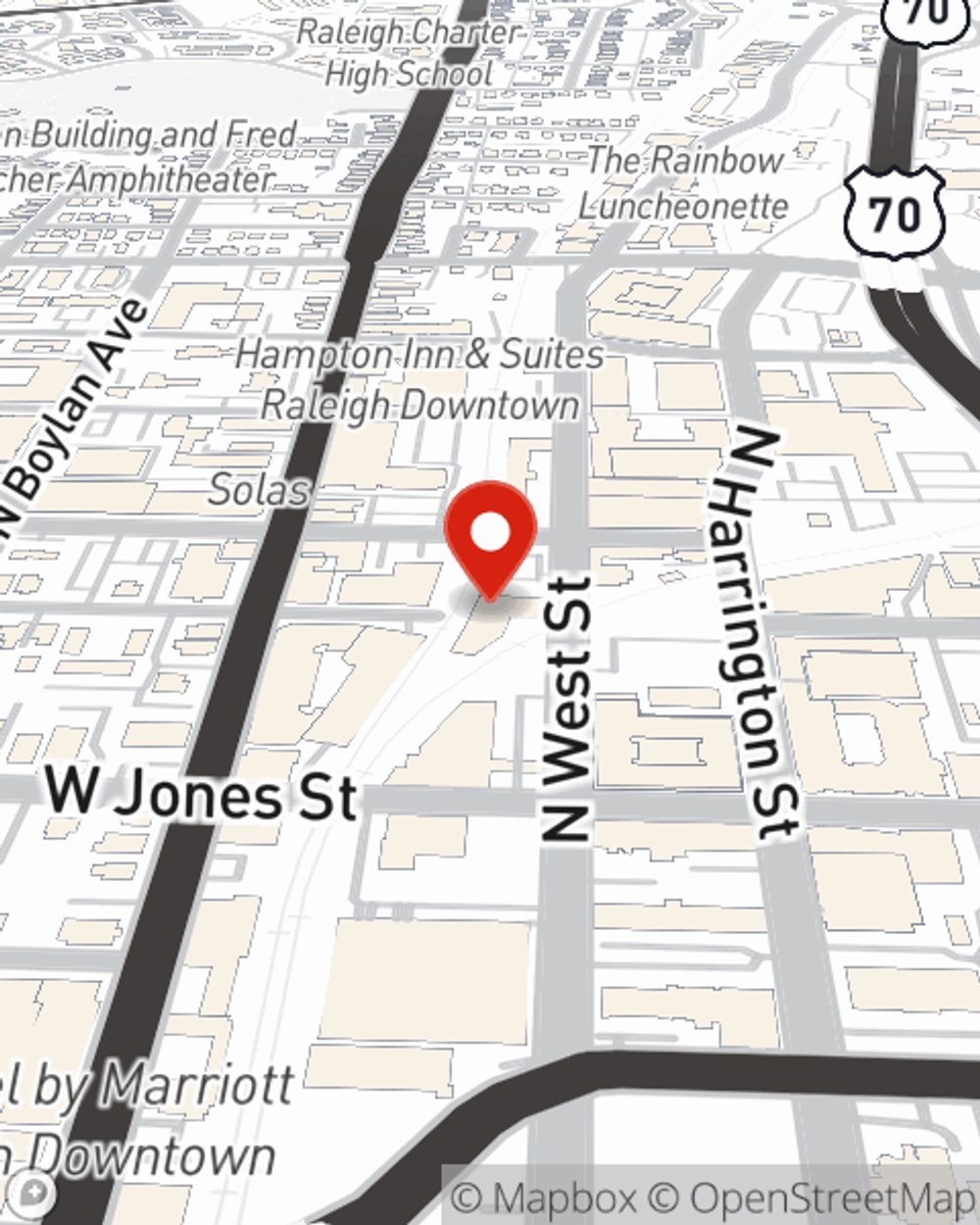 Raleigh NC State Farm Insurance Agent Carmen Ritz