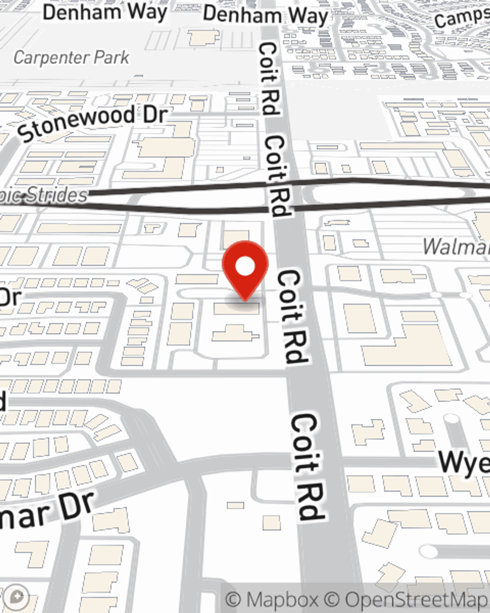 Plano TX State Farm Insurance Agent Chelsea Terry