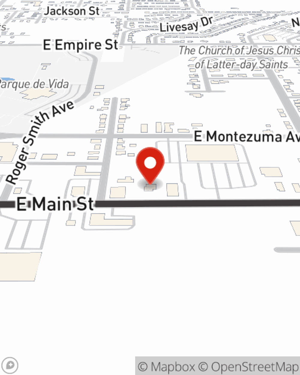 State Farm Ricky King