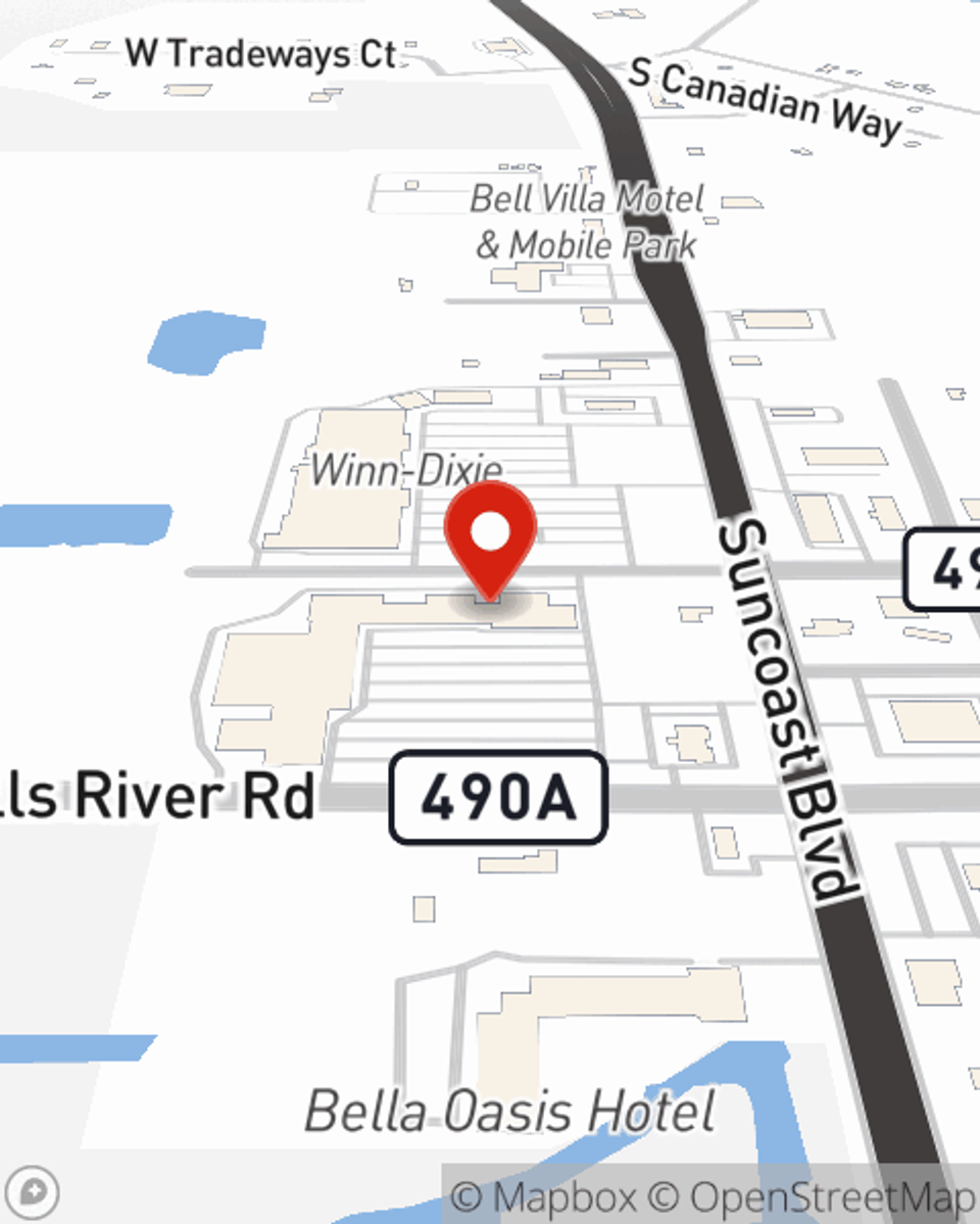 FL Auto & Home Insurance Agent Ed Buckley - State Farm®