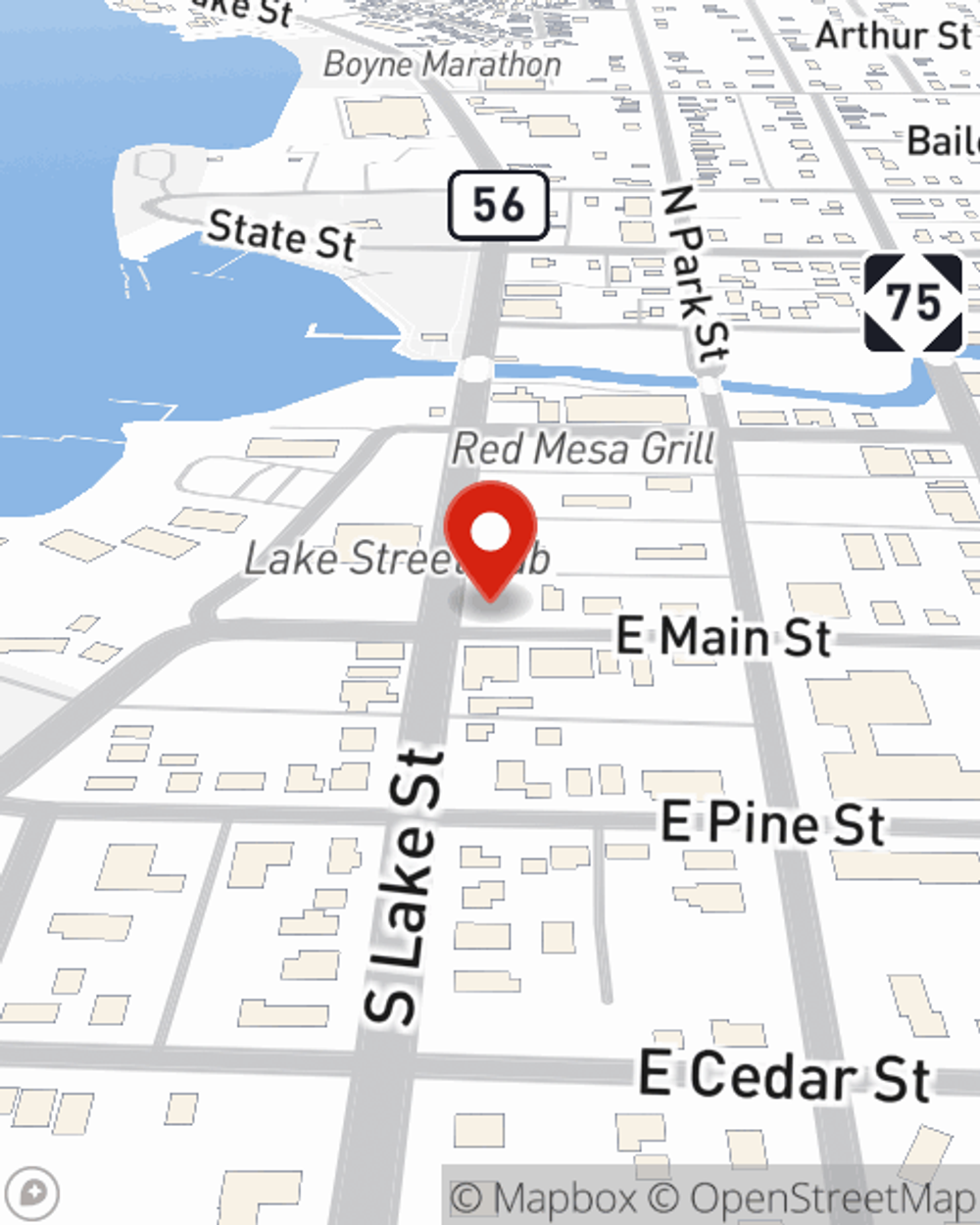 Mark Patrick State Farm MI Lower Auto Insurance Premiums