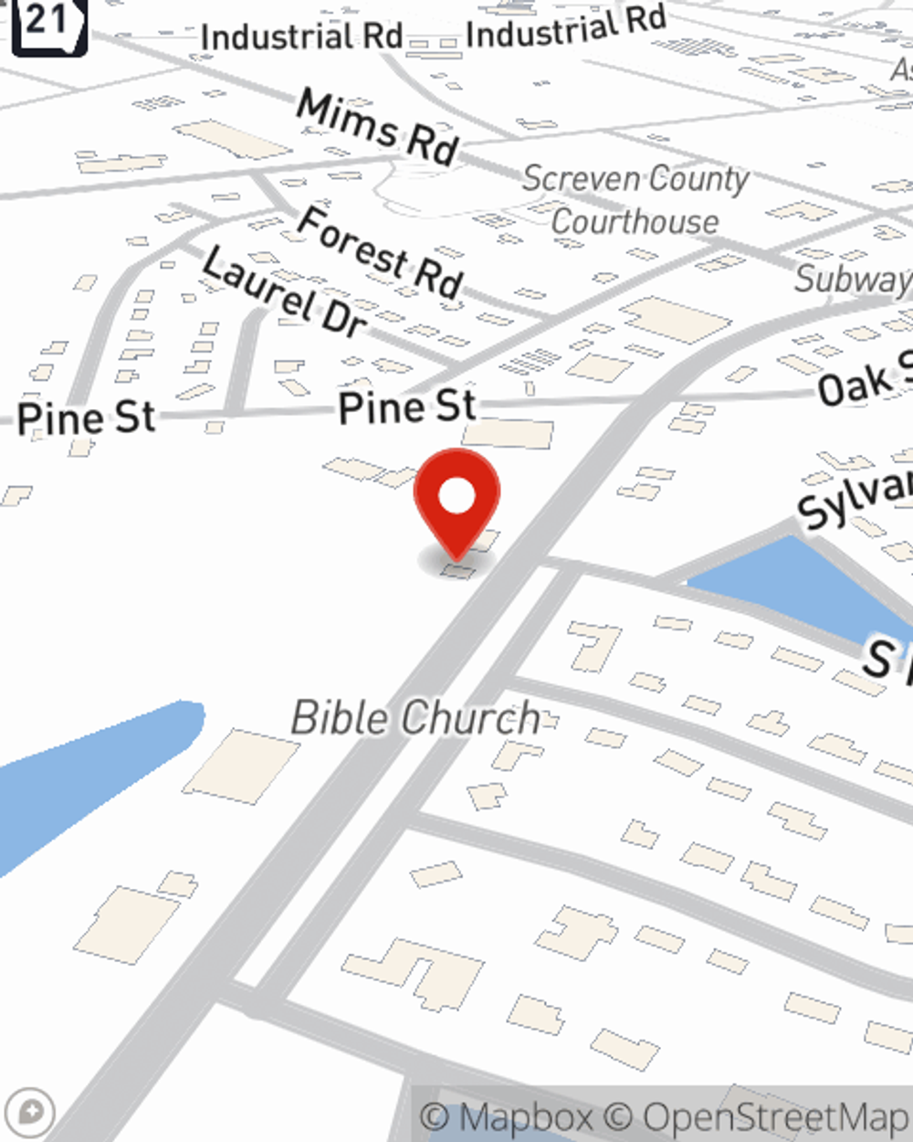 Insurance Agent Darlene Anthony in Sylvania GA – State Farm®
