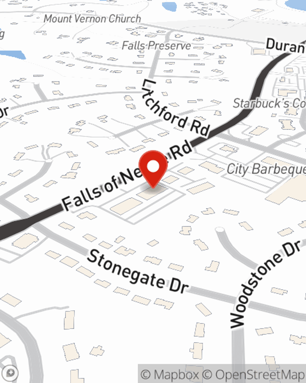 Your Raleigh State Farm Agent for ALL your Insurance