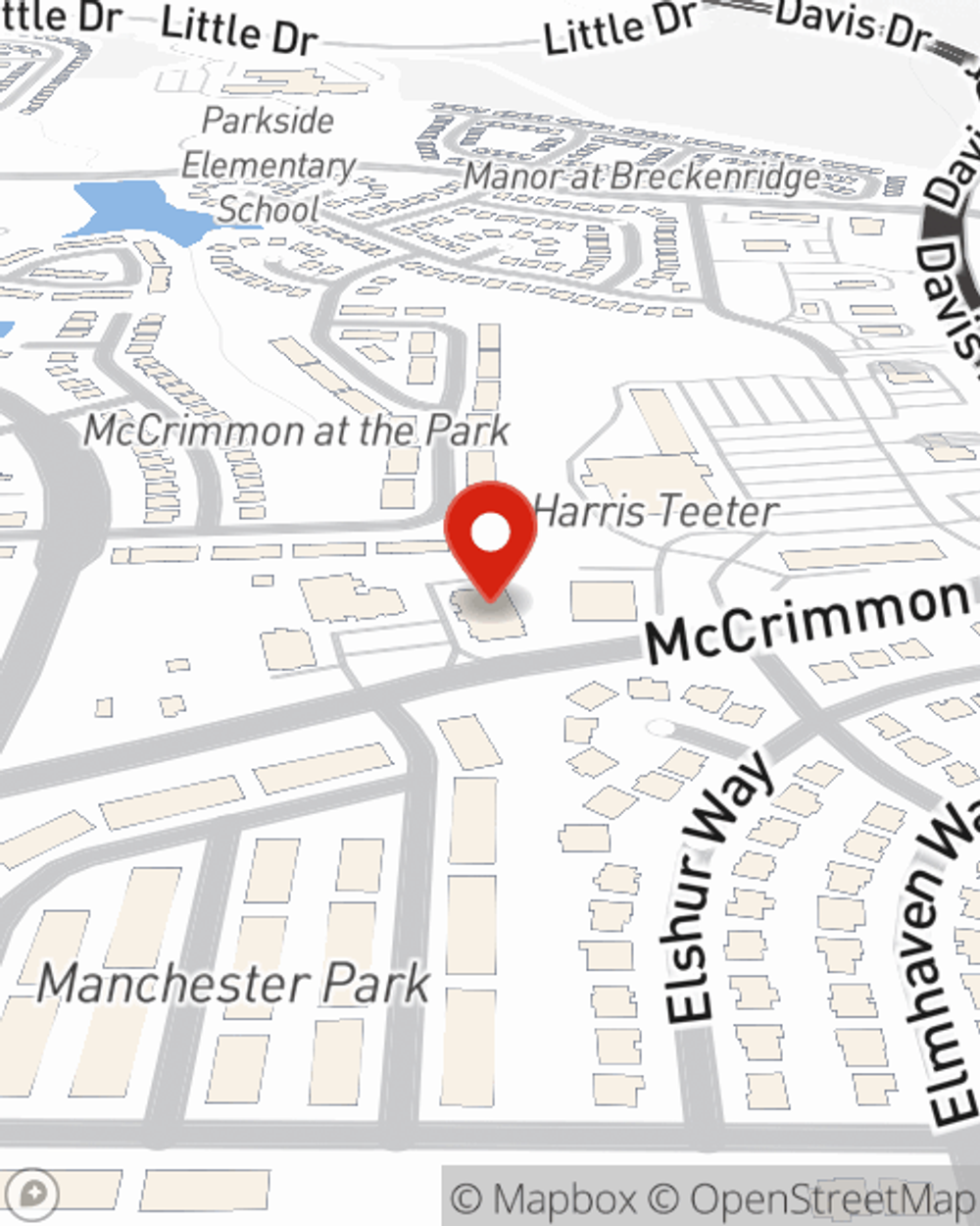 State Farm Insurance Agent Teri LaRocca in Morrisville NC