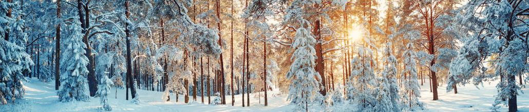 Home, Auto Insurance & More in ME | Janet Slade – State Farm®