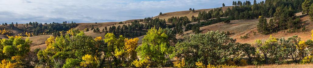 SD Auto & Home Insurance Agent Gregg Fullerton - State Farm®