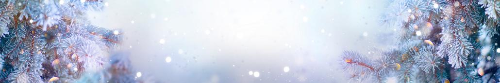 NC Auto & Home Insurance Agent Mike Shoffner - State Farm®