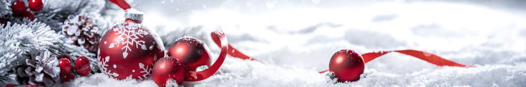 FL Auto & Home Insurance Agent Eric Cabaniss - State Farm®