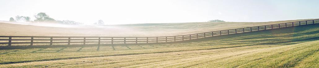 KY Auto & Home Insurance Agent Toddy Todd - State Farm®