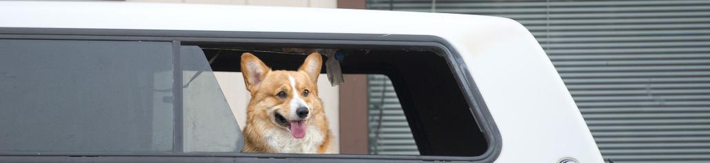 Landon Ball - State Farm Insurance Agent