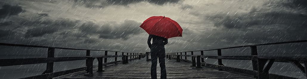 GA Auto & Home Insurance Agent Dan Runion - State Farm®