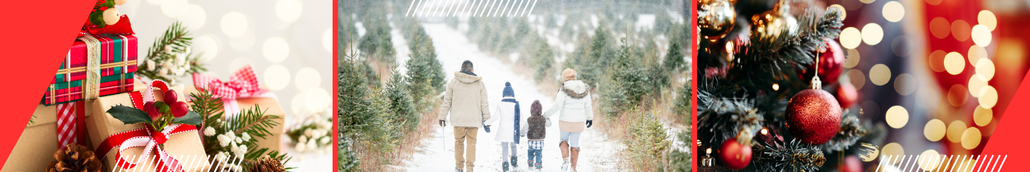 NV Auto & Home Insurance Agent Perry Olson - State Farm®