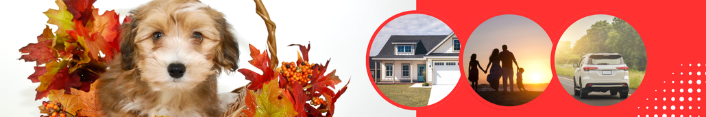 State Farm Insurance Agent Colin Wolfson in Glendale AZ