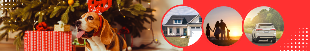 AZ Auto & Home Insurance Agent Lisa Ross - State Farm®