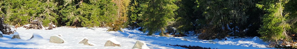 State Farm® Yakima | Auto, Home, Life Insurance Agency