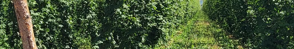 State Farm® Yakima | Auto, Home, Life Insurance Agency