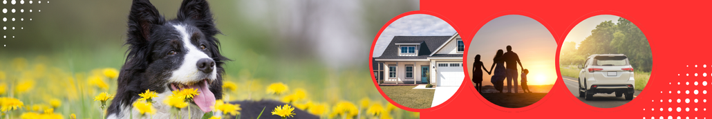 Insurance Agent Jared Soukup in Santa Rosa CA – State Farm®