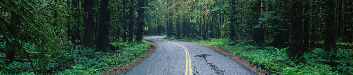 FL Auto & Home Insurance Agent Eric Ponce - State Farm®