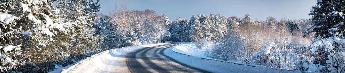 MI Auto & Home Insurance Agent Paul Clark - State Farm®