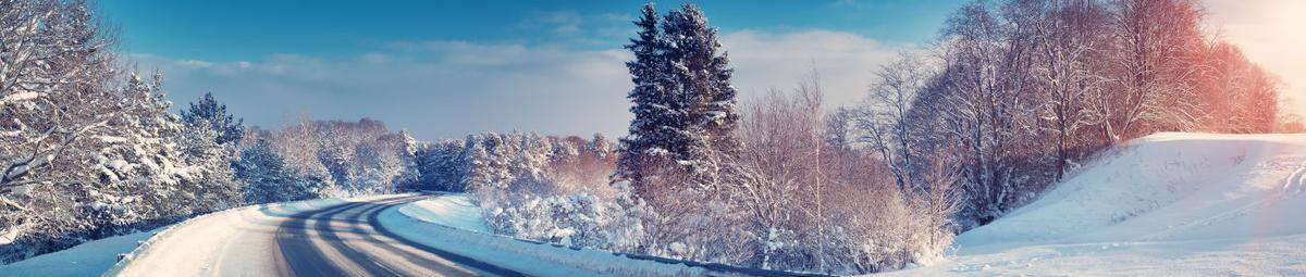 James Grossi – Southampton, NY State Farm® Insurance Agent