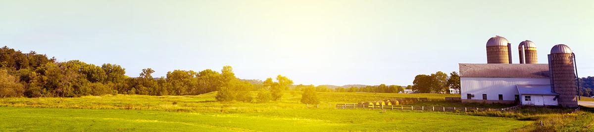 VA Auto & Home Insurance Agent Patrick Blevins - State Farm®