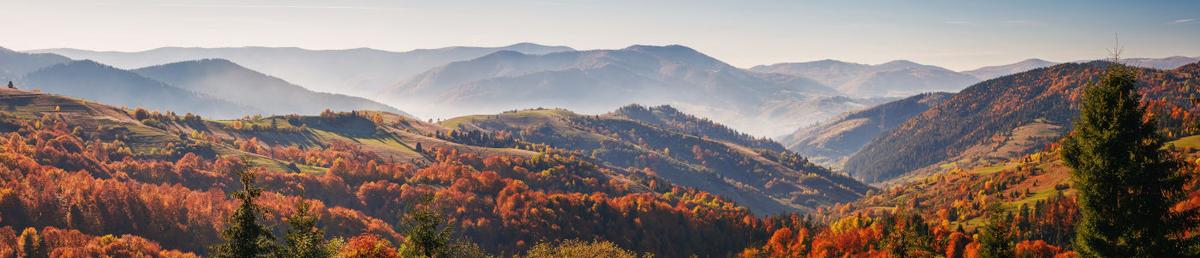 TN Auto & Home Insurance Agent Ron Mathews - State Farm®