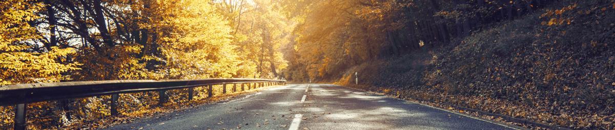 State Farm Insurance Agent John Elbin in Indianapolis IN