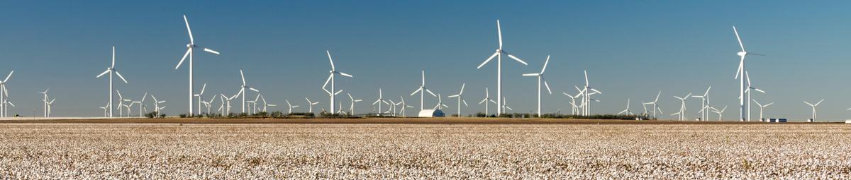 TX Auto & Home Insurance Agent Scott Powell - State Farm®