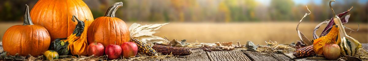 GA Auto & Home Insurance Agent Dan Combs - State Farm®