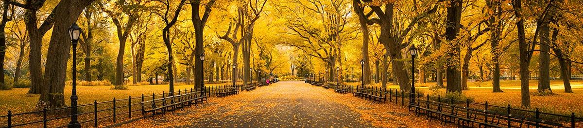 KY Auto & Home Insurance Agent Gina Hopper - State Farm®