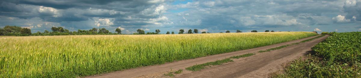 IL Auto & Home Insurance Agent Chad Cruse - State Farm®