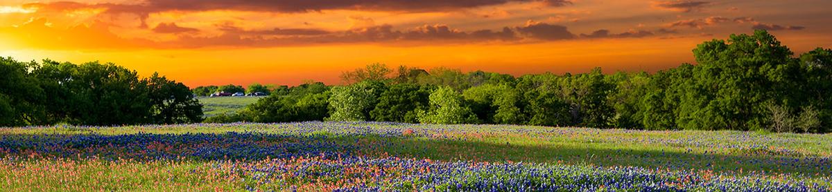Home, Auto Insurance & More in TX | Richard Stegall – State Farm®