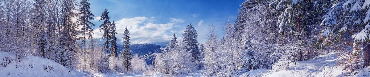 NY Auto & Home Insurance Agent Steve Jarvis - State Farm®