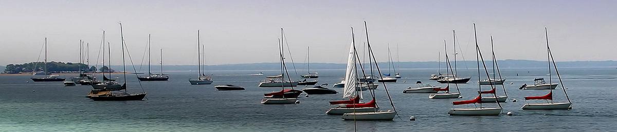 Home, Auto Insurance & More in LA | Benee Irwin – State Farm®