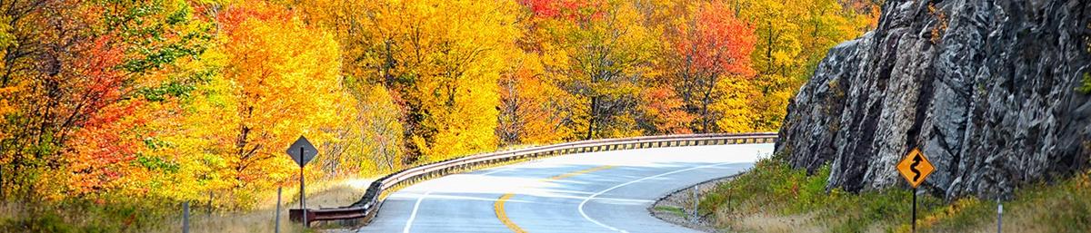 Colorado Springs CO State Farm Insurance Agent Tom Calvin