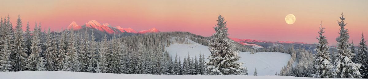 Home, Auto Insurance & More in AK | Kris Yoder – State Farm®