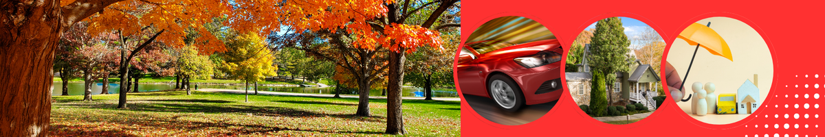 Insurance Agent Michelle Twitchell in Bartlett IL – State Farm®