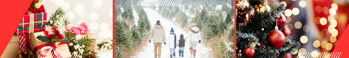 NV Auto & Home Insurance Agent Perry Olson - State Farm®