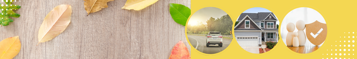 IL Auto & Home Insurance Agent Brian Stolper - State Farm®