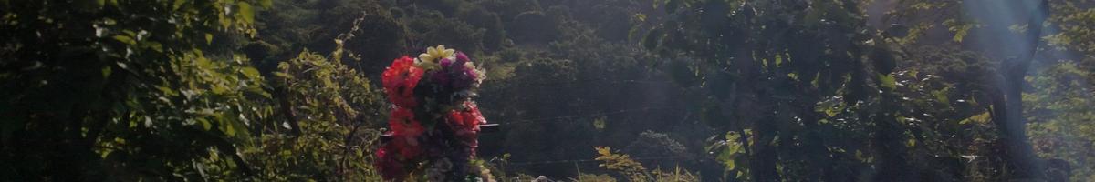 TN Auto & Home Insurance Agent Don Self - State Farm®