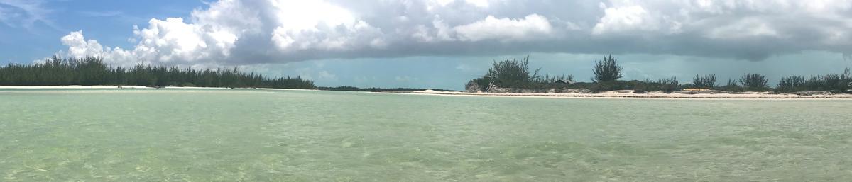 Home, Auto Insurance & More in CA | Derek Tsu – State Farm®