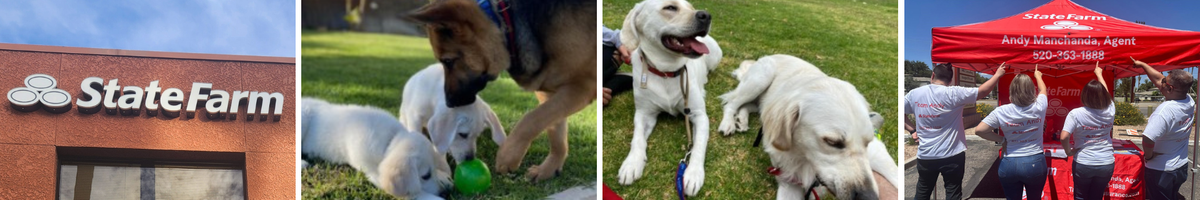 AZ Auto & Home Insurance Agent Andy Manchanda - State Farm®